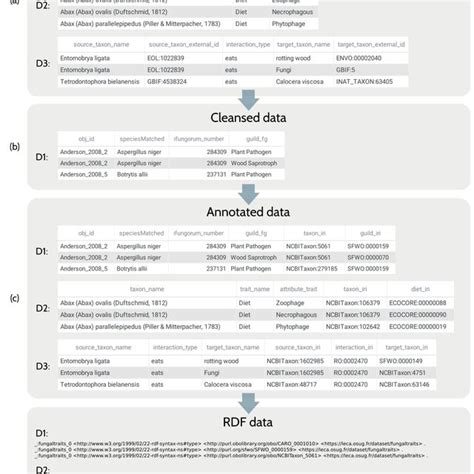 An Illustration Of The Application Of Data Transformation To Our