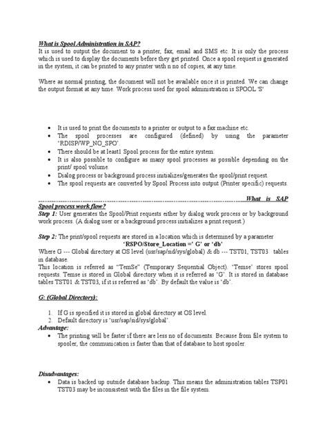 What Is Spool Administration In Sap Pdf File System Backup