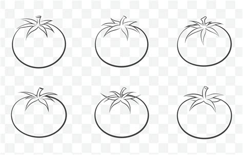 Print Detailed Tomato Line Art Set Featuring Various Tomato Designs For
