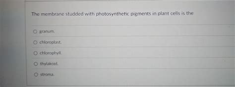 Solved The Membrane Studded With Photosynthetic Pigments In