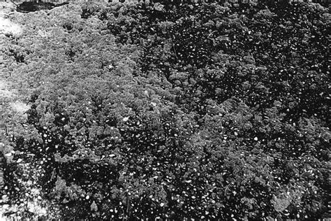 Free Photo Photo Of Ground Texture Pattern