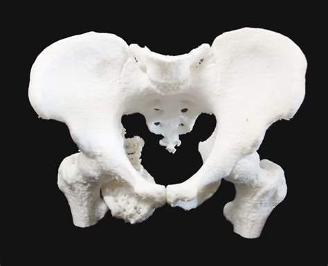 Fused Deposition Modeling Voxelwerks