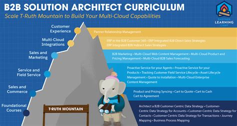 What Does A Salesforce Solution Architect Do And How Do You Become One