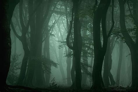 Даниэль Лаан Daniel Laan — фотограф пейзажист — Juicyworld