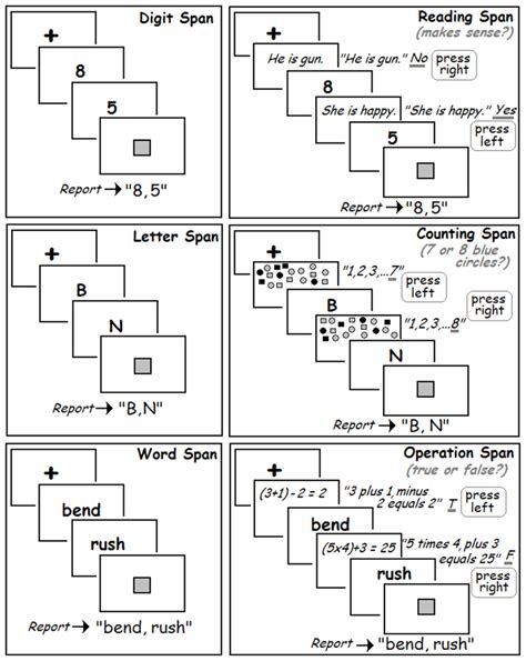 Schematic Representations Of The Six Verbal Span Tasks The Three Left