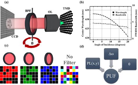 Extracting Unique Information From 2d Materials A Measurement