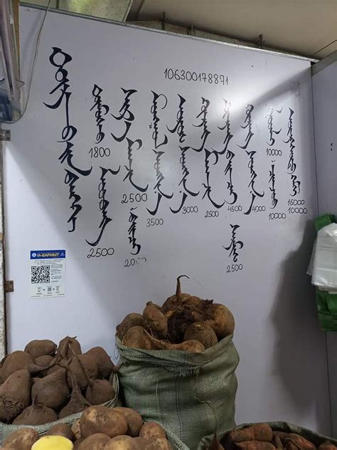 Бямбын Ринчен Монгол бичгийн хэрэглээ гэж үүнийг хэлээд