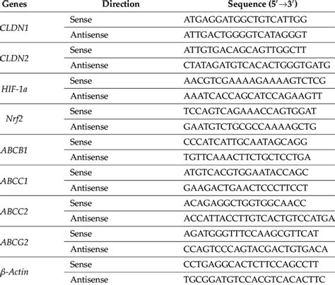 Primer Pairs For Real Time Pcr Download Scientific Diagram