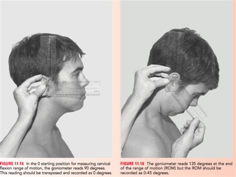 Dpt Test And Measurement Cervical Movements Flashcards Quizlet