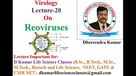 Virology Reoviruses By Dr Dheerendra Kumar Youtube