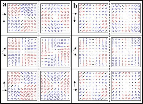 Detected Polarization Distributions Of Vector Beams Superposed By Two Download Scientific