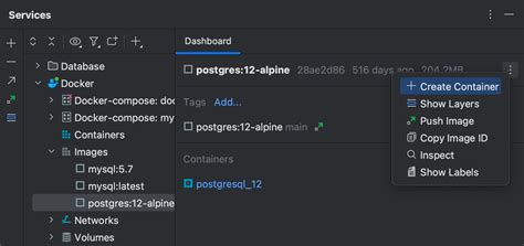 docker images datagrip documentation