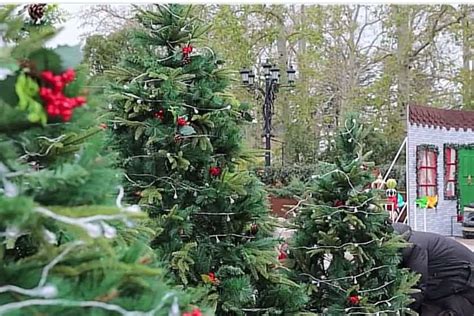 „ახალი წლის დღეები 2023“ დღეიდან ქვეყნის ხუთ მუნიციპალიტეტში გაიხსნება Imedinews