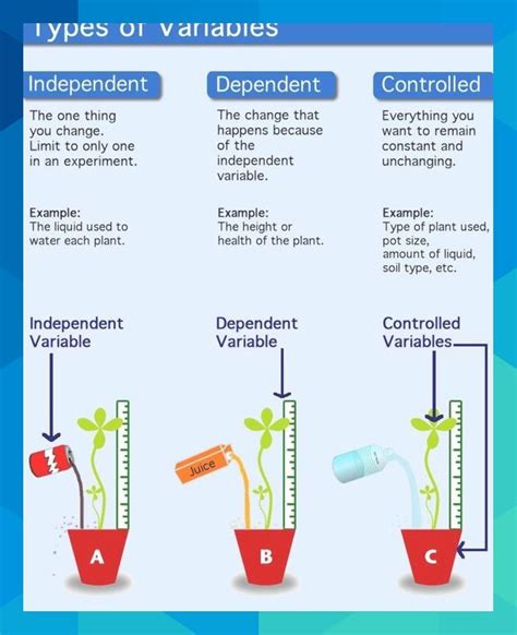 Description Of Independent Variable Dependent Variable And Control