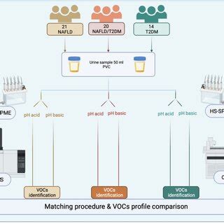 Experimental Design Study Flow Chart NAFLD Non Alcoholic Fatty Liver Download Scientific