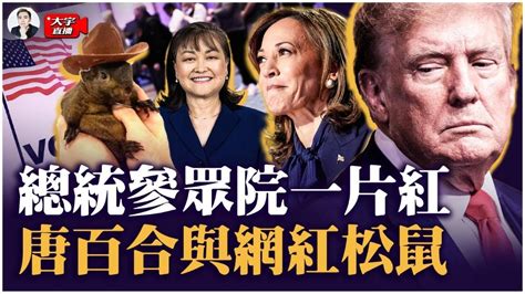 總統、參院、眾院，共和黨平均民調均領先！美國 網紅松鼠”意外成選舉事件；華裔參選人唐百合lily Tang在美國走紅｜大宇拍案驚奇 Live