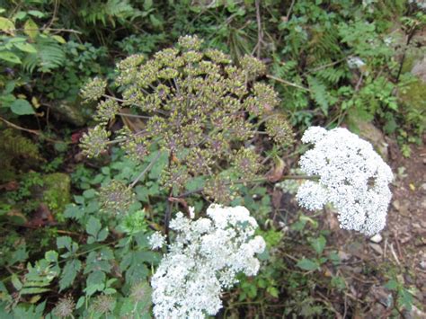 유해폐기물 처리물리적 화학적 생물학적 네이버 블로그