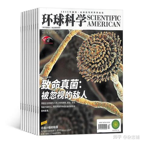 孩子思维发育黄金期，如何培养高级思维模式？ 知乎