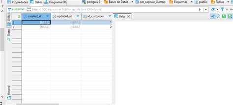 Usuarios De Base De Datos Postgresql No Tienen Permisos Luego De La Migracion Obligatoria A