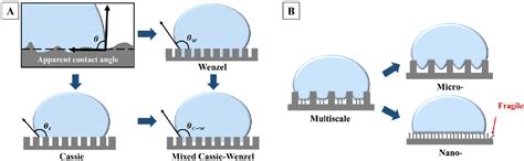 Figure 1 From Superhydrophobic Non Metallic Surfaces With Multiscale