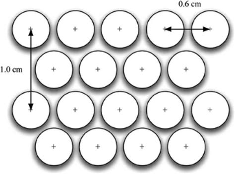 layout of the lenslet array for the large format camera download