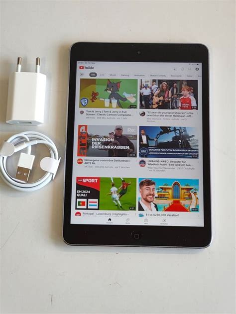 Ipad Mini 2 Ios 12 Mit Youtube Netflix Kaufen Auf Ricardo