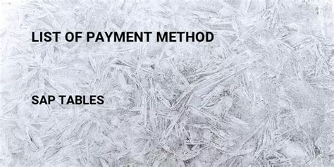 List Of Payment Method Table In SAP