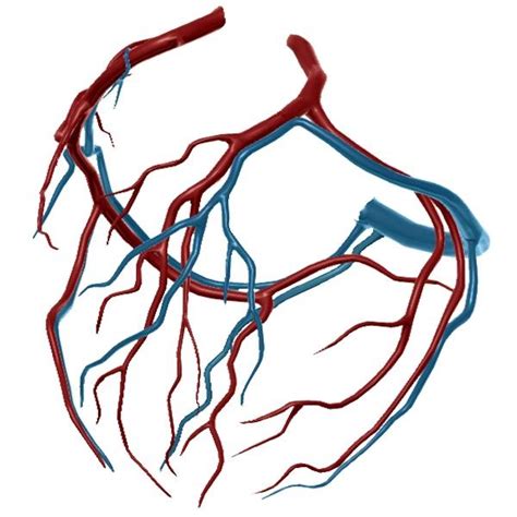 Interventional Radiographer