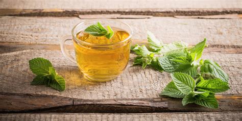 Peppermint Tea Health Benefits