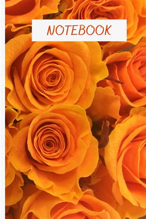 Notebook Ani Aasokamchi Books