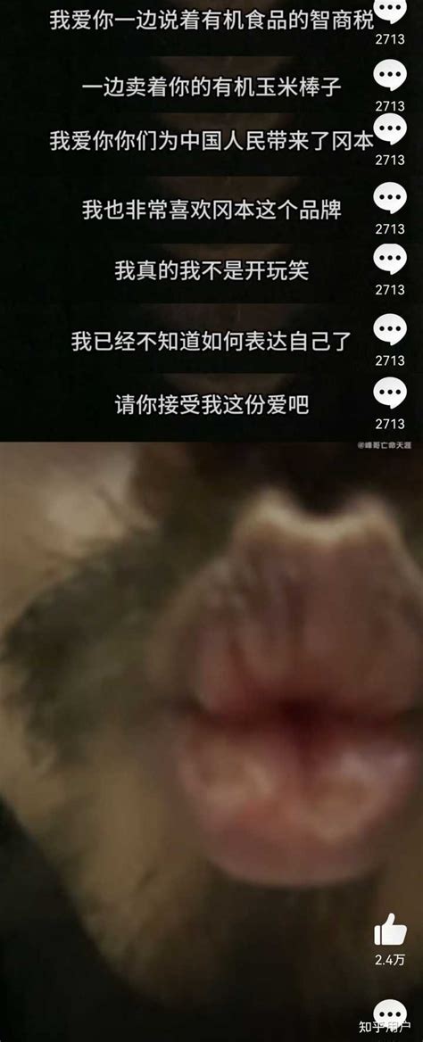 如何评价峰哥亡命天涯表白孤烟暮蝉？ 知乎