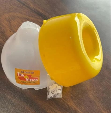 Pheromone Fruit Fly Trap At Rs 75 Fly Trap In Charkhi Dadri Id