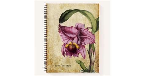 Vintage Vibrant Cattleya Labiata Orchid Notebook Zazzle