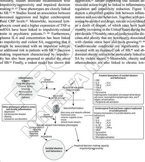 Simplified Schematic Representation Of The Link Between Inflammation