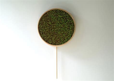 Brils Coniferous Clock Is Filled With Leaves That Take A Year To Die