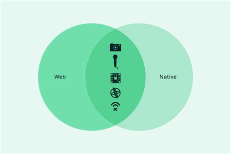 Native App Vs Web App Questions To Answer Before Proceeding Envy Labs