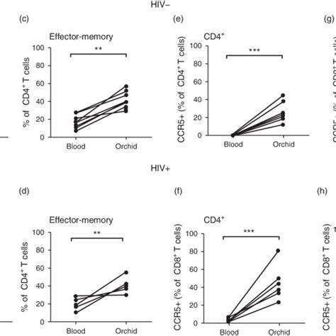 T Cell Phenotyping In Human Testes Orchid And Blood Of Uninfected