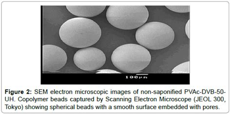Macroporous Poly Vinyl Acetate Co Divinyl Benzene Copolymer Bead