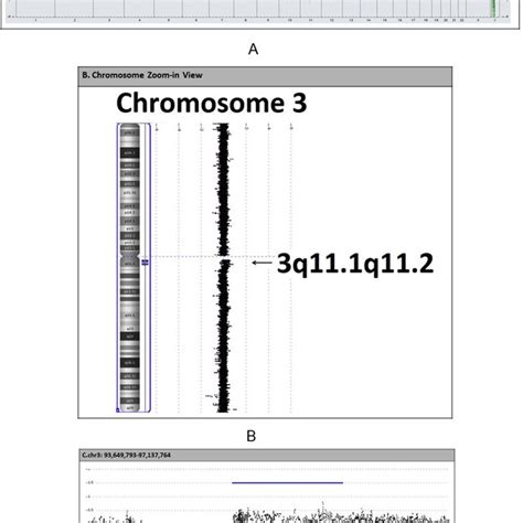 A B And C Array Comparative Genomic Hybridization On The Dna Download Scientific Diagram