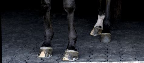 Solved Best Way To Add A Gradient Masked Layer But Mask O Adobe Product Community 14913858