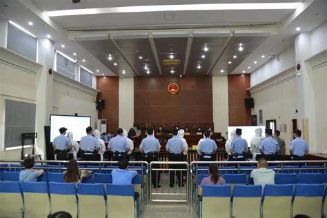 盗掘4座战国、西汉时期古墓，盗墓贼和倒卖文物者均被判刑杨某涛行为历史