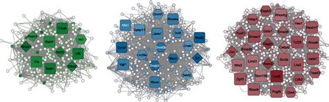 Identifying Novel Regulators Of Placental Development Using Time Series Transcriptome Data