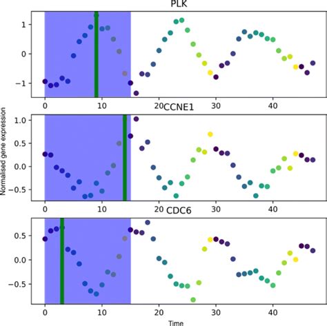 Osconet Inferring Oscillatory Gene Networks Bmc Bioinformatics