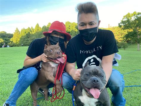 横浜市の犬のしつけ教室 今日のわん子達 Visse s Blog 横浜市の犬のしつけレッスン ドッグスクールVisse