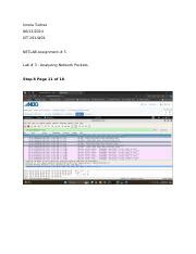 Analyzing Network Packets NETLAB Assignment 步骤 Course Hero