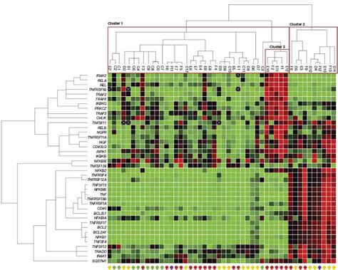 A Semi Automated Quantitative Pcr Approach To Assess Differential Anti