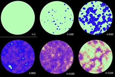 Visualization Of Computational Experiment Download Scientific Diagram