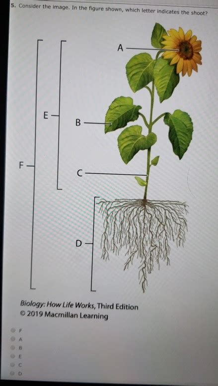 Solved 4 Consider The Figure In The Figure Shown Which