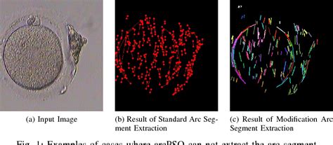 Figure 1 From Ellipse Detection On Embryo Image Using Modification Of Arc Particle Swarm