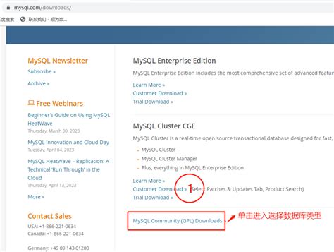 windows下安装mysql8方法 rx21 博客园